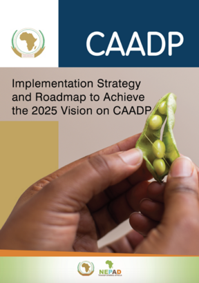 Implementation Strategy and Road Map to Achieve the 2025 Vision on ...